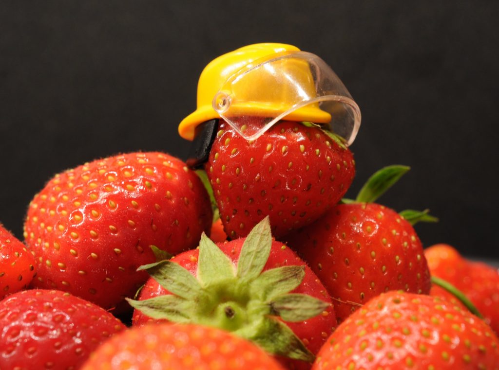 US The Human Element Of Food Safety Fresh Produce Safety Centre us-the-human-element-of-food-safety-fresh-produce-safety-centre